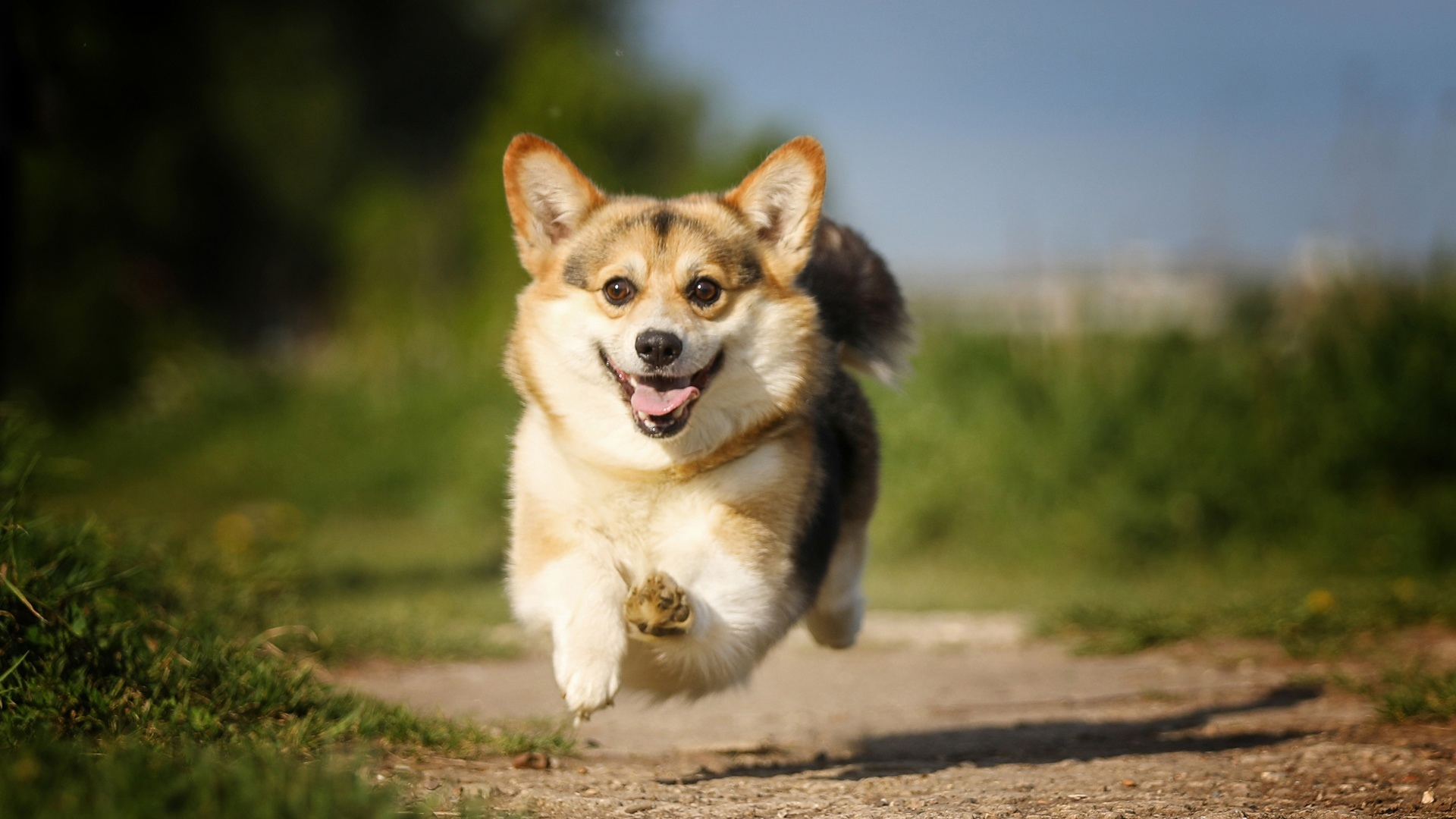 About Me – chen liu